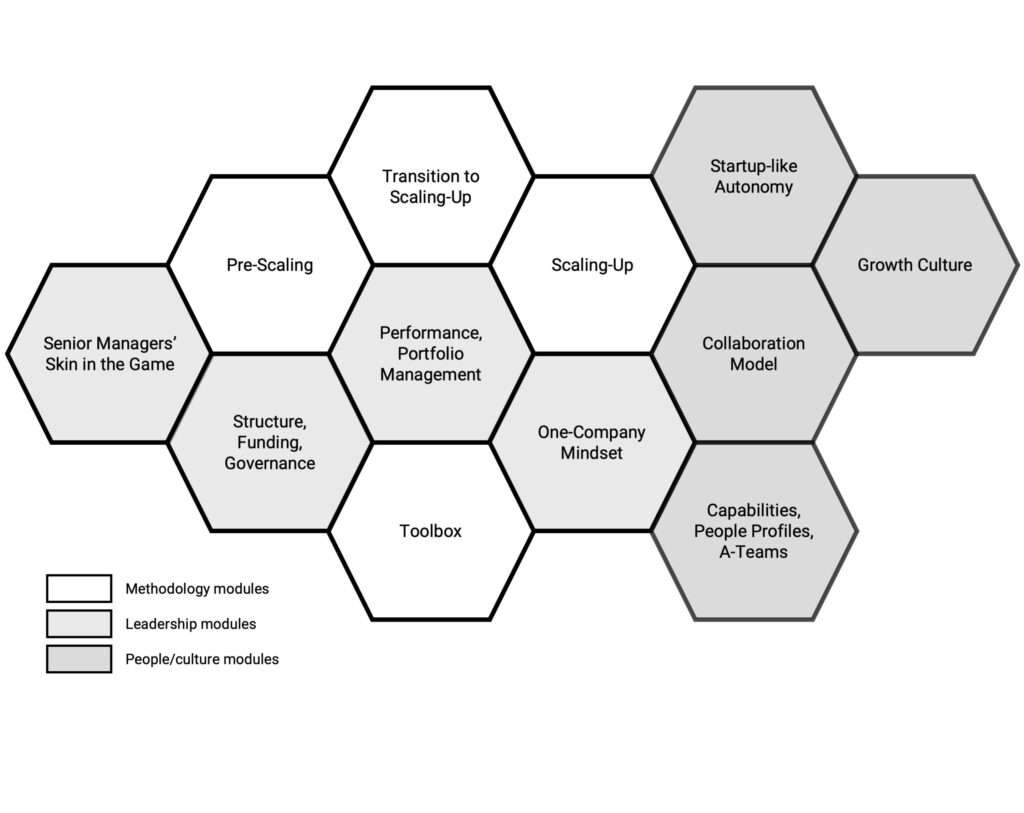 Home - Lean Scaleup - Transforming Business Ideas Into New Revenue Streams.